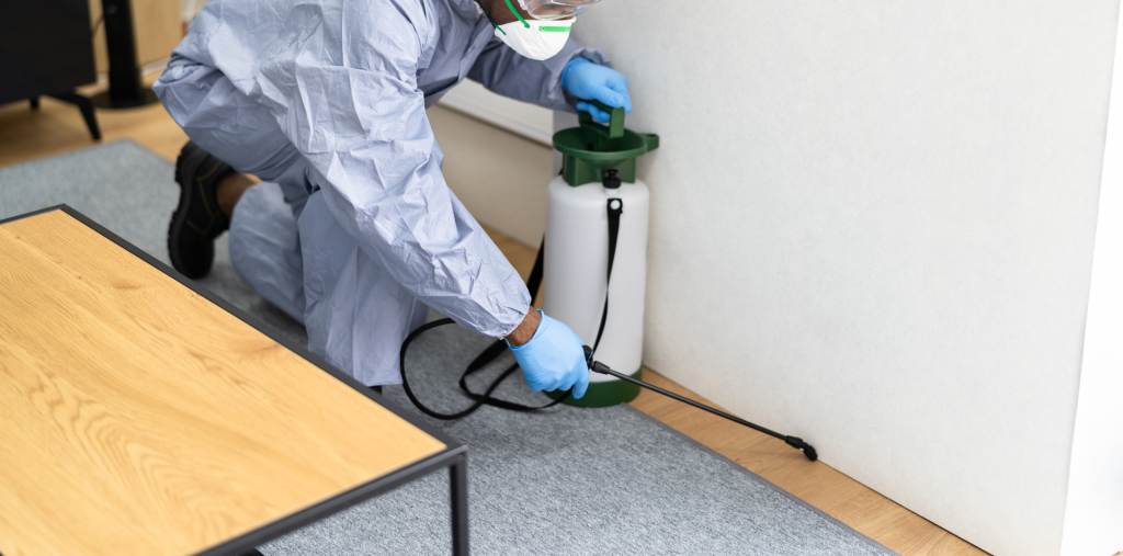 What Property Managers Actually Want From a Pest Company - Innovative ...